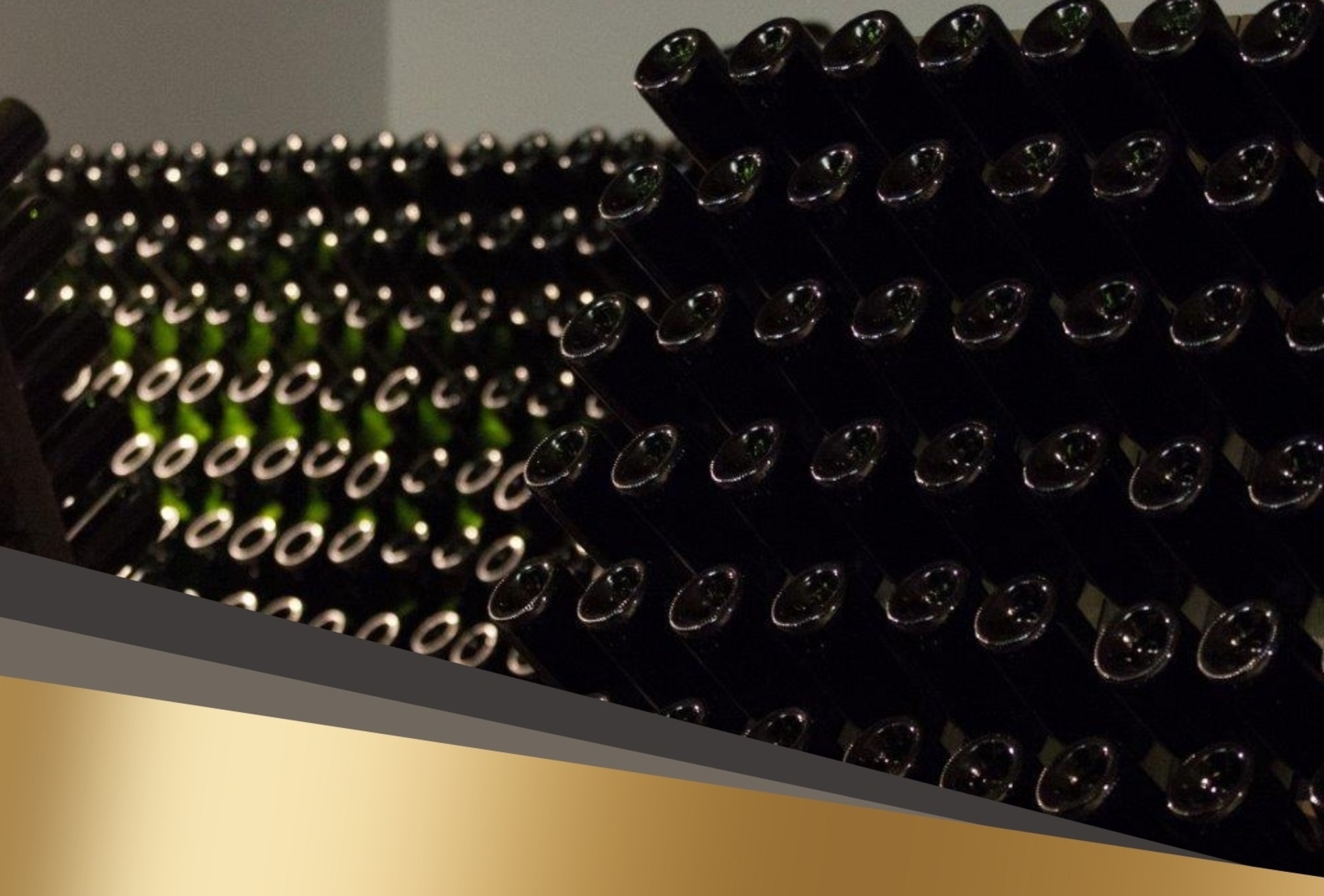 „Alitos“ pažintinė programa kviečia!