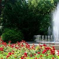 Alytus is the largest city in Southern Lithuania