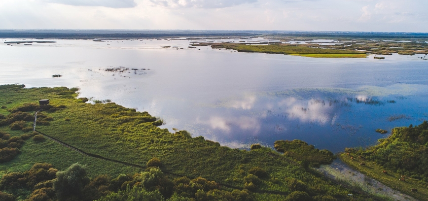 Žuvintas Biosphere Reserve